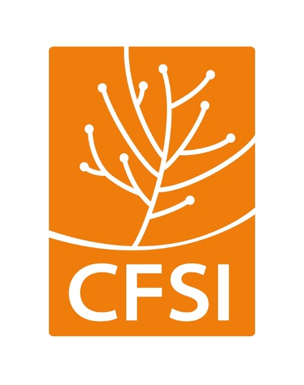 CFSI Comité Français de Solidarité Internationale - Fonds de dotation ...